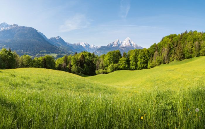 Press Releases - CABB Chemicals